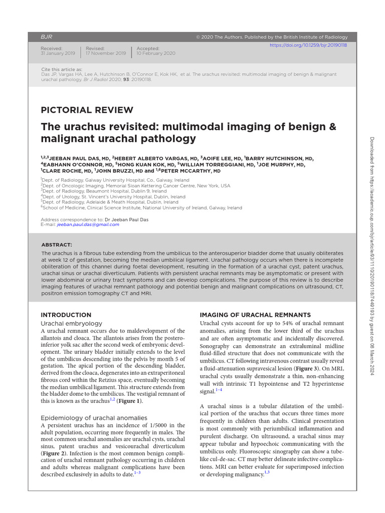 The urachus revisited | PDF | Magnetic Resonance Imaging | Ct Scan