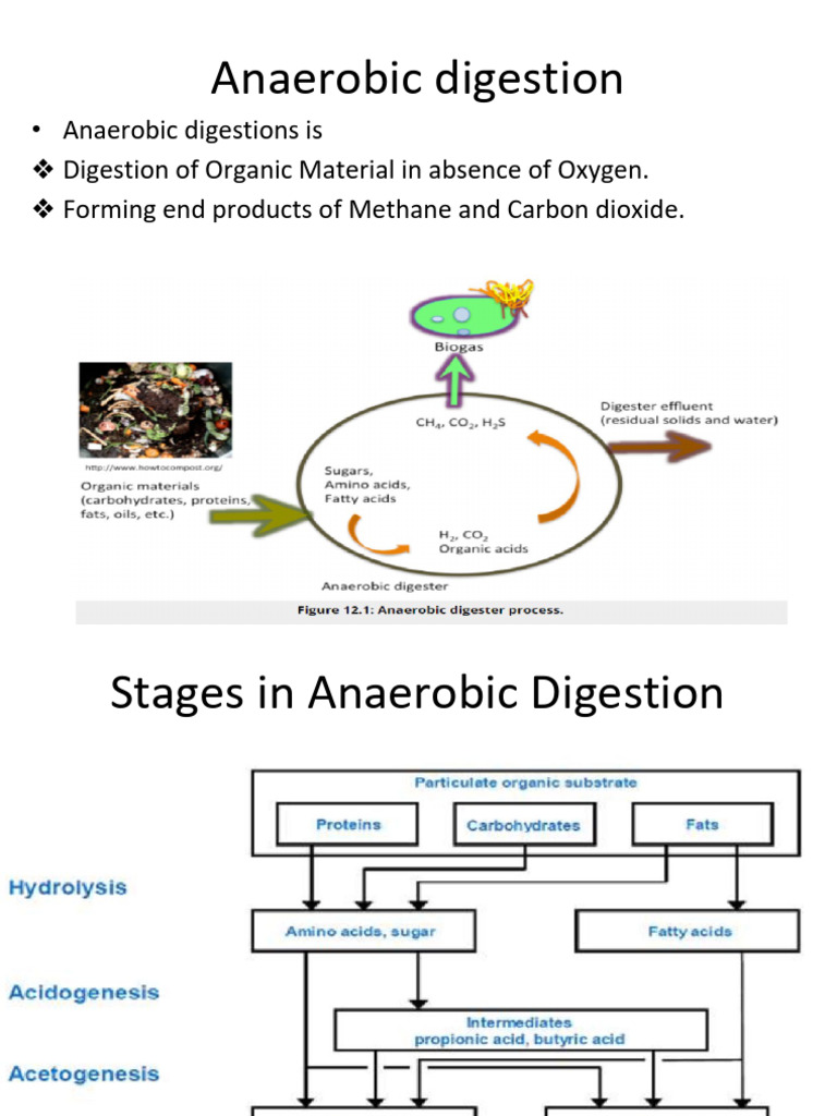 anaerobic digestion | PDF