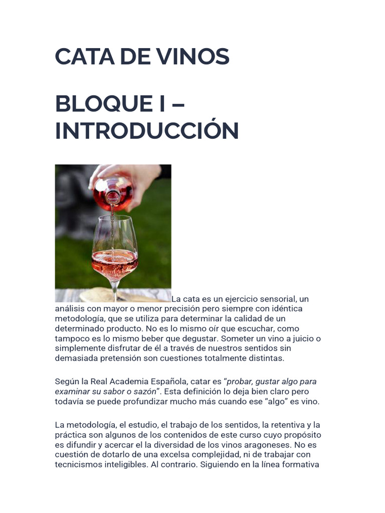 CATA DE VINOS | PDF | Vino | Gusto