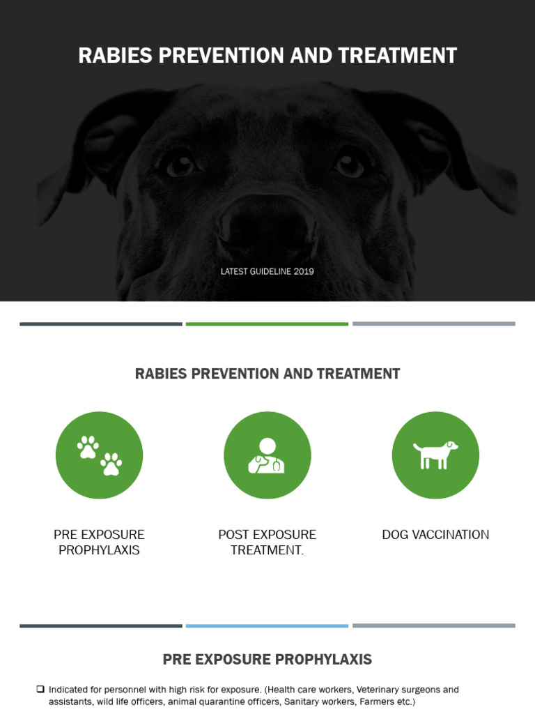 Rabies Prevention and Treatment | PDF | Rabies | Management Of Hiv/Aids
