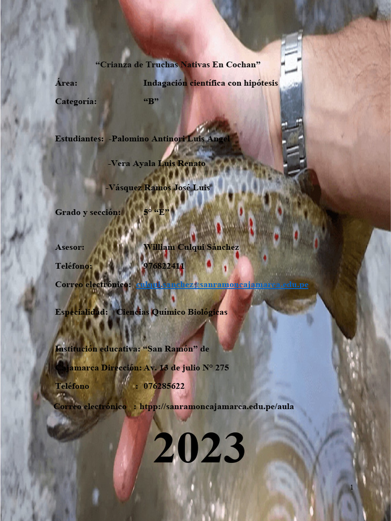 Lucho | PDF | Negocios