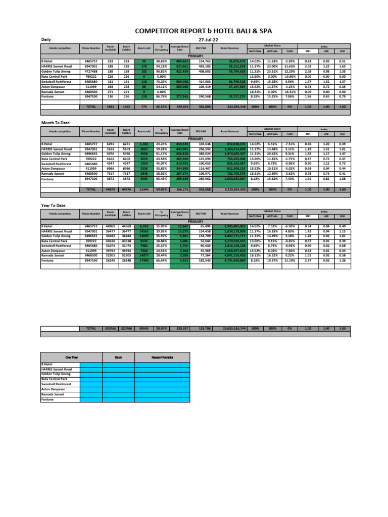 Competitor Report | PDF