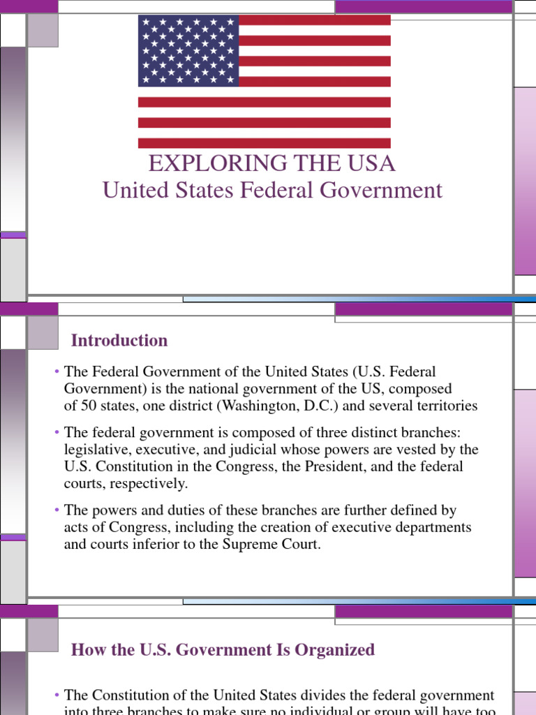 Lecture 3 - Government | PDF | Federal Government Of The United States ...
