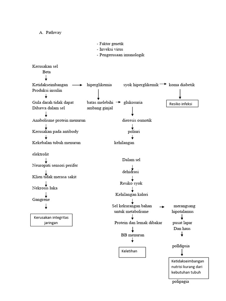 Pathway Dan Penatalaksanaan | PDF | Kesehatan Holistik