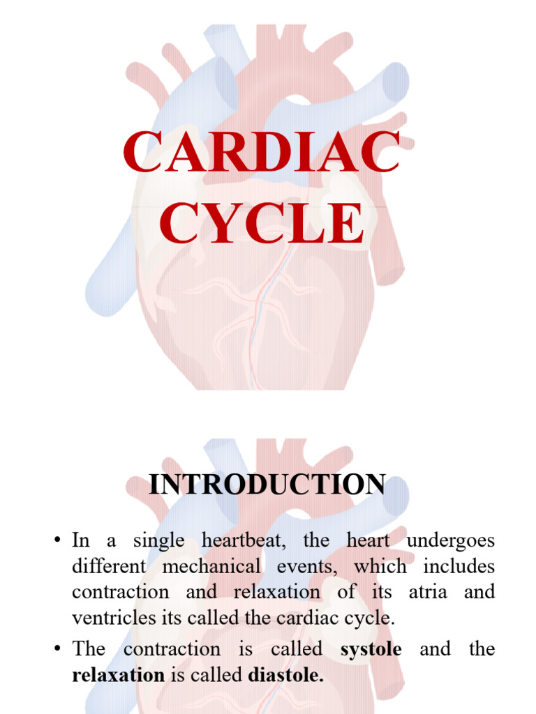 cardiac cycle | PDF | Diastole | Ventricle (Heart)