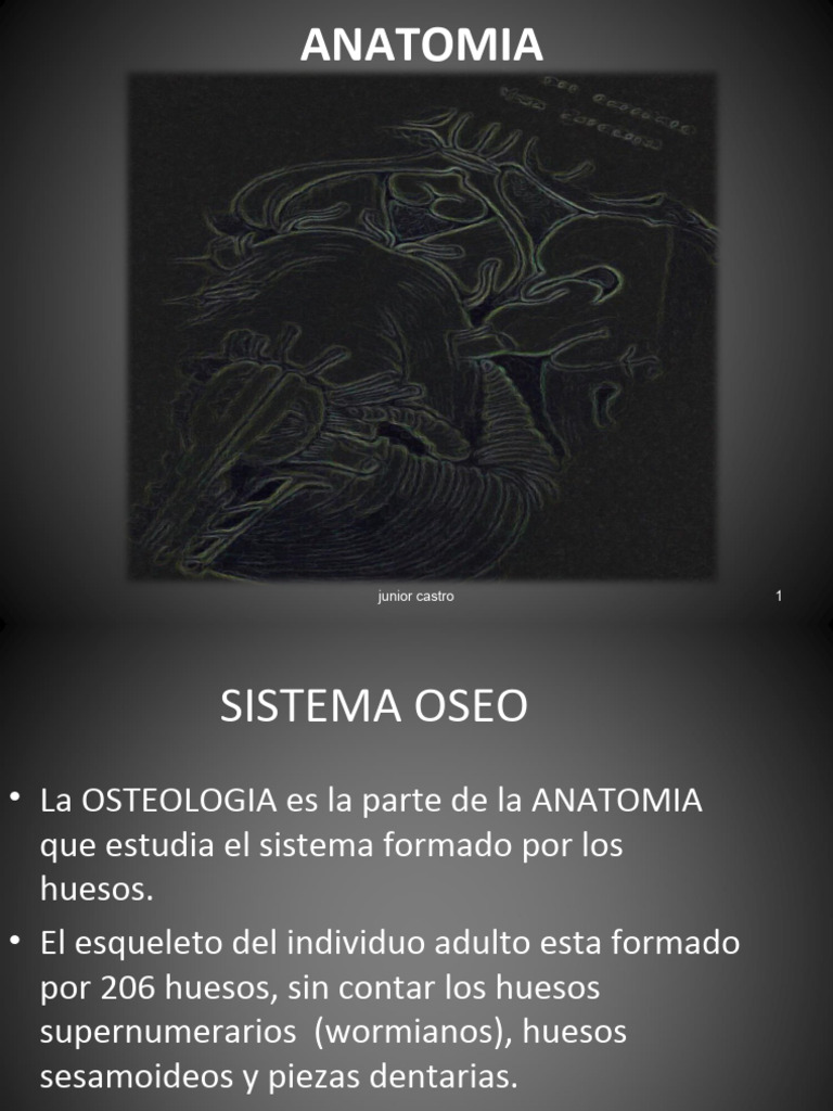 Esqueleto General Anatomia Unlp Pdf Mano Cráneo