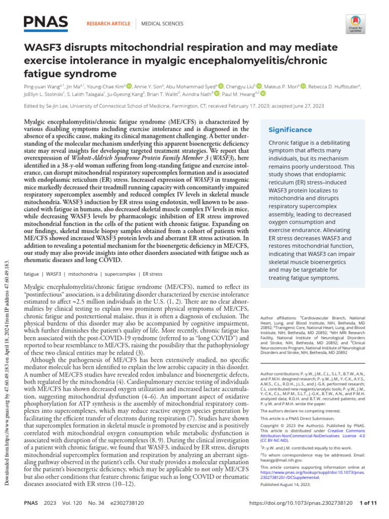 Wang Et Al 2023 Wasf3 Disrupts Mitochondrial Respiration and May ...