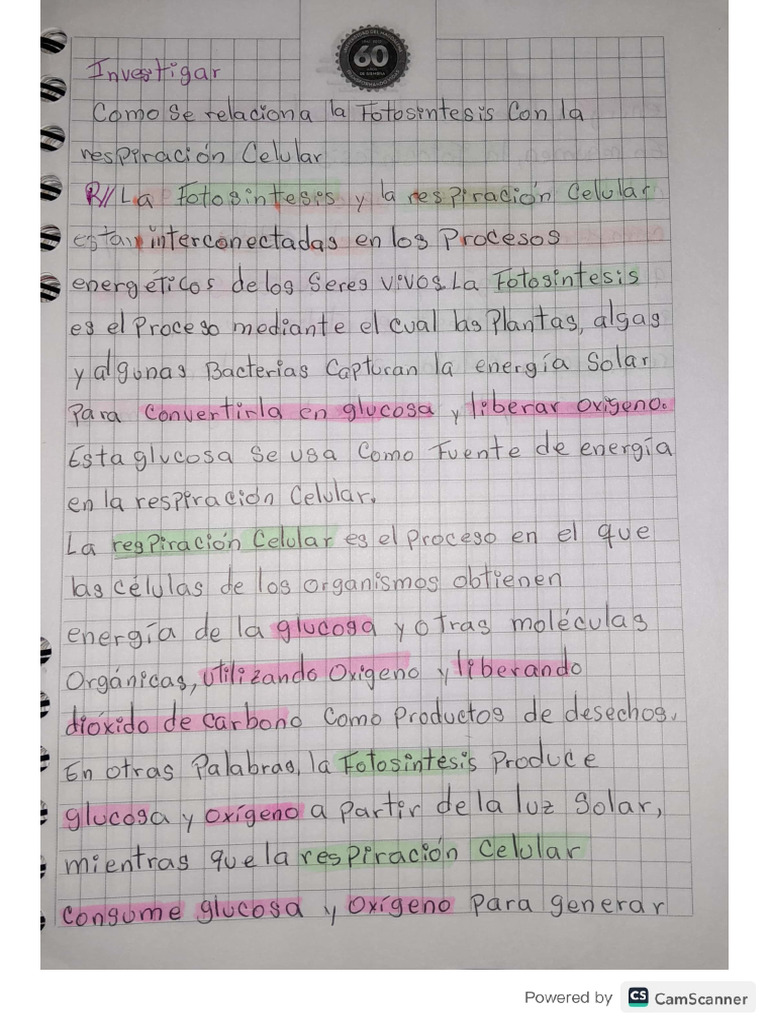 Fotosintesis y Respiración Celular | PDF