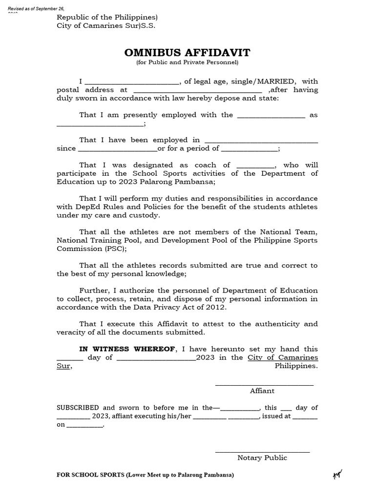 2020 - Omnibus Affidavit | PDF | Affidavit | Justice