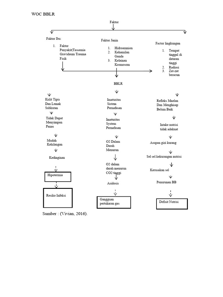 Woc BBLR | PDF | Kesehatan Holistik