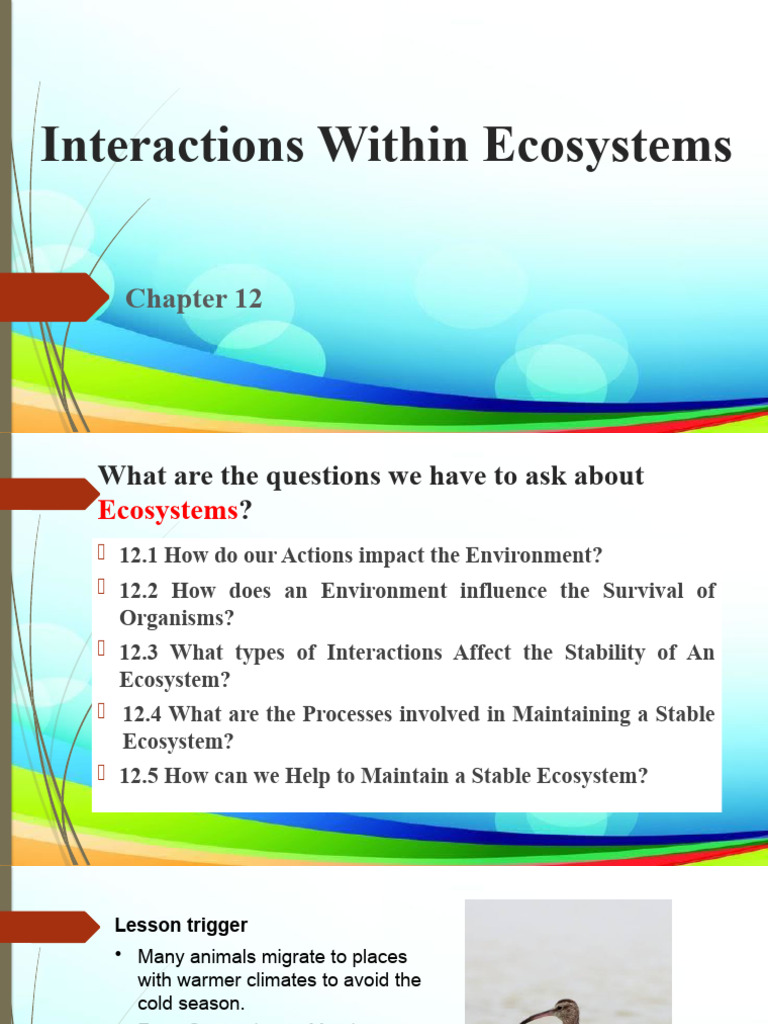 Chapter 12 Interactions Within Ecosystems | PDF | Ecosystem | Foods