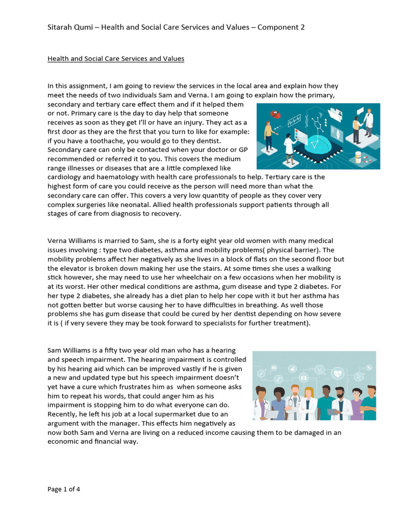 Component 2 Assignment Health Care Services | PDF | Health Care ...