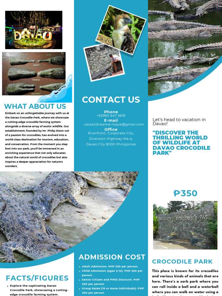 Blue Modern Vacation Packages Trifolds Brochure | PDF