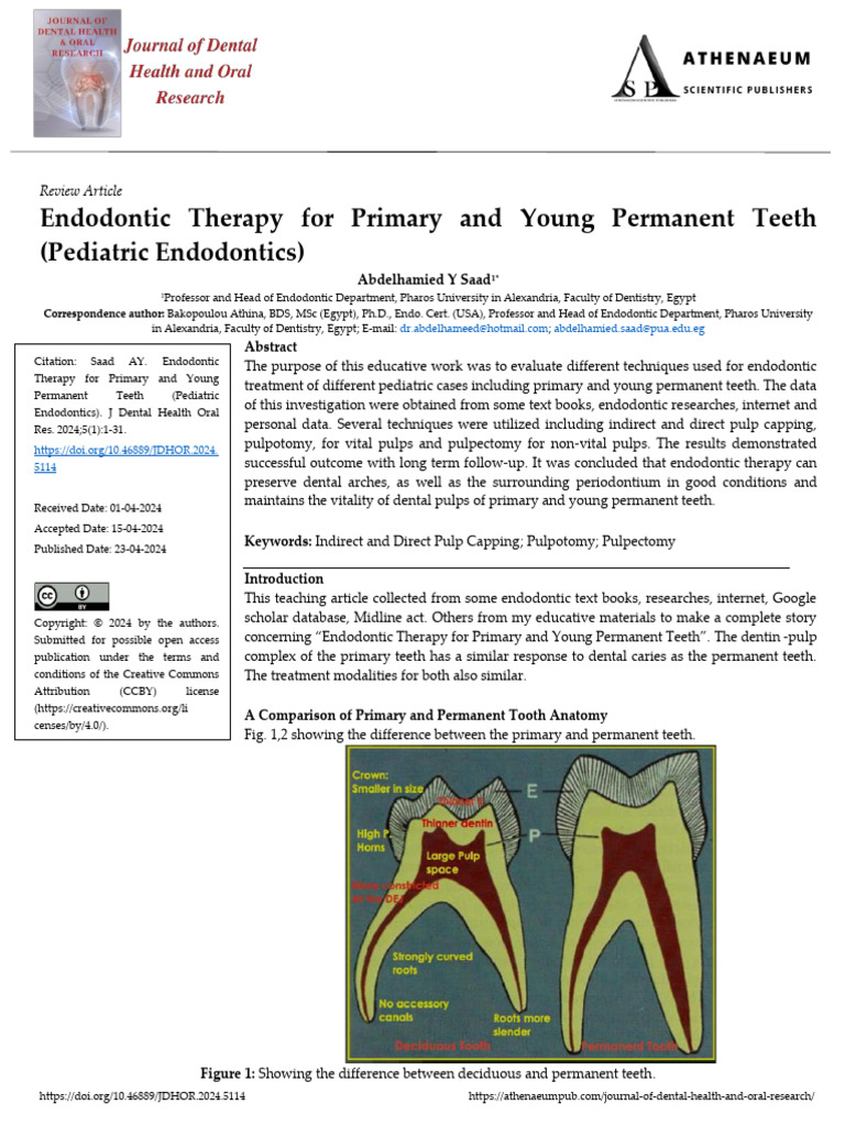 Endodontic Therapy For Primary and Young Permanent Teeth Pediatric ...