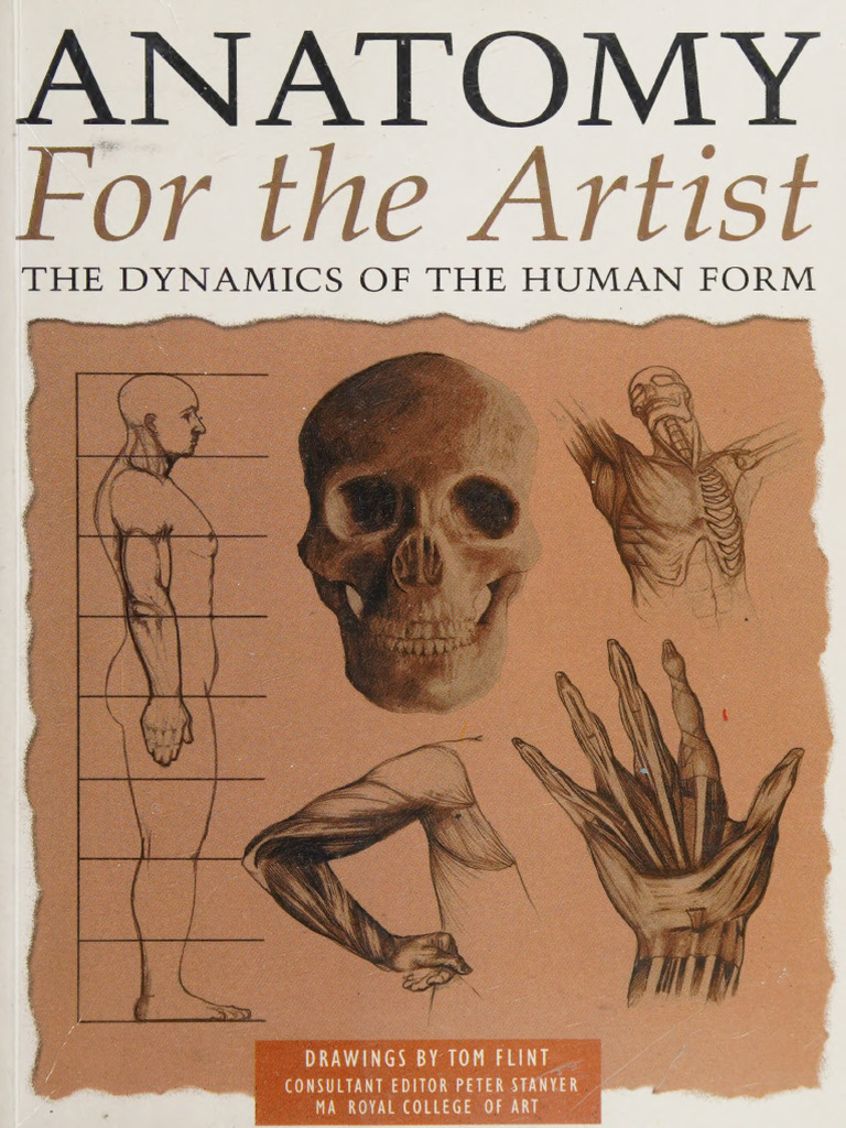 Anatomy For The Artist The Dynamics Of The Human Form Flint Tom