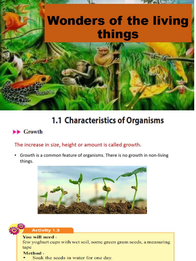 Wonders of The Living Things | PDF | Breathing | Respiratory System