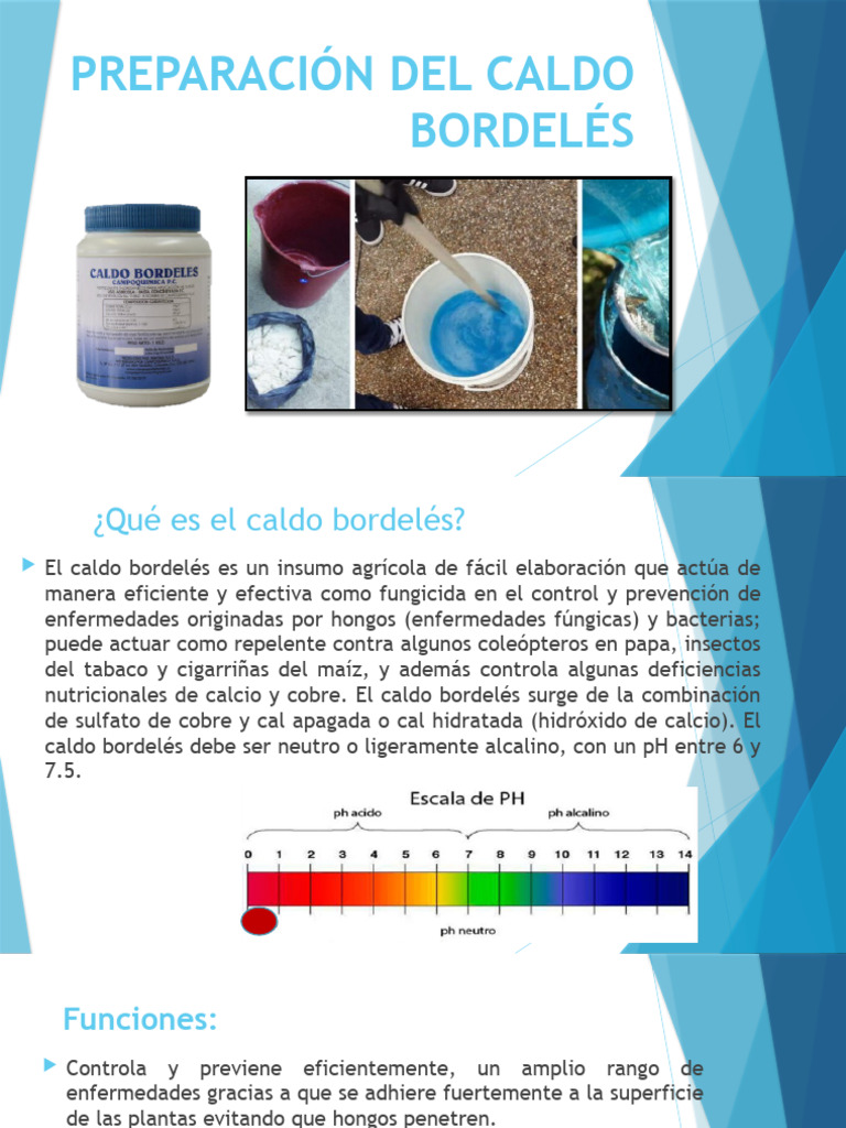 Guía para Preparar Caldo Bordelés | PDF | Lima (Material) | Agua
