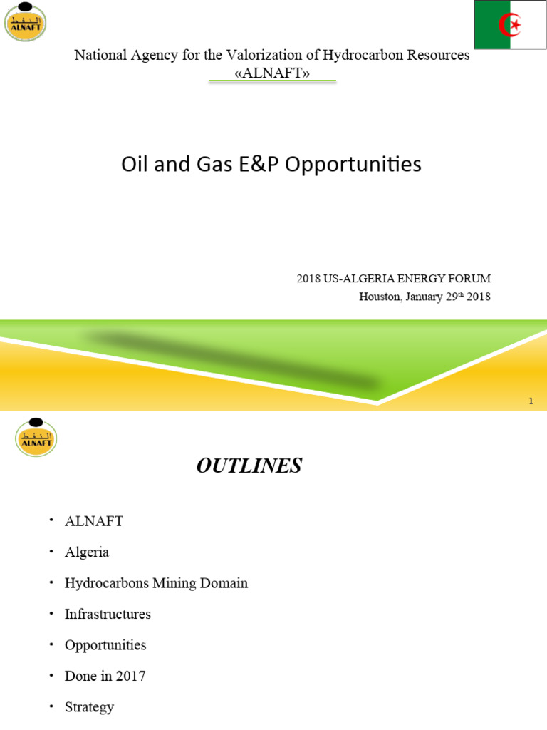 ALNAFT: Algeria's Oil & Gas Opportunities | PDF | Petroleum | Natural Gas