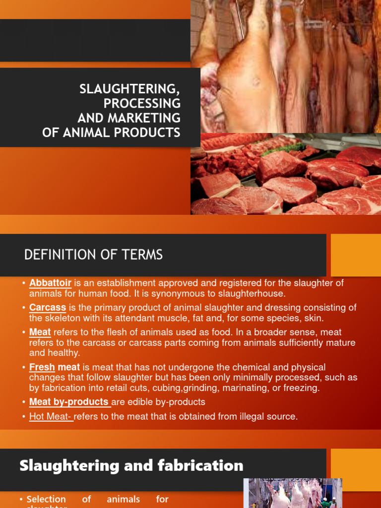 Slaughtering Processing and Marketing of Animal Products | PDF | Milk | Dairy Products
