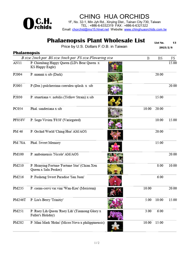 AList 13 Phalaenopsis Plant Wholesale List | PDF | Plants | Botany