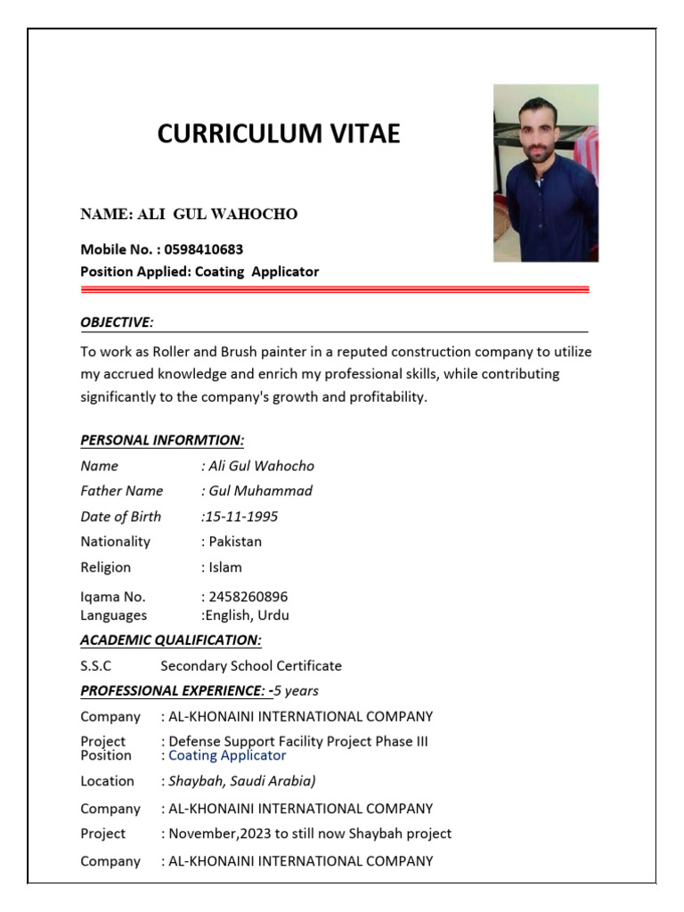 Coating Applicator CV - Ali Gul | PDF | Paint | Paintings