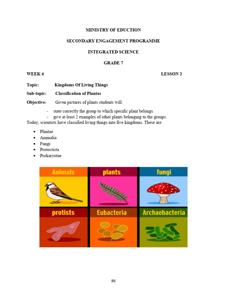Classification of Plants | PDF | Plants | Leaf