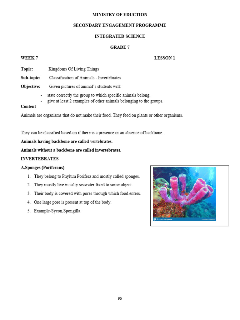 Classification of Animals - Invertebrates | PDF | Invertebrate | Organisms