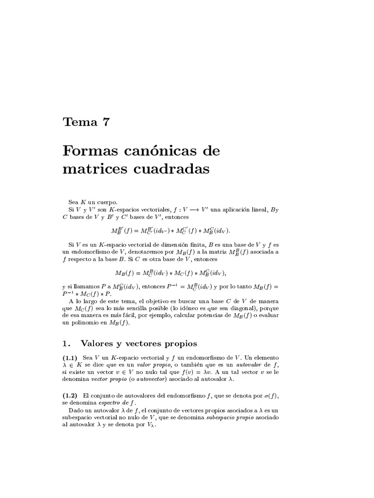 Formas Canonicas de Matrices Cuadradas | PDF