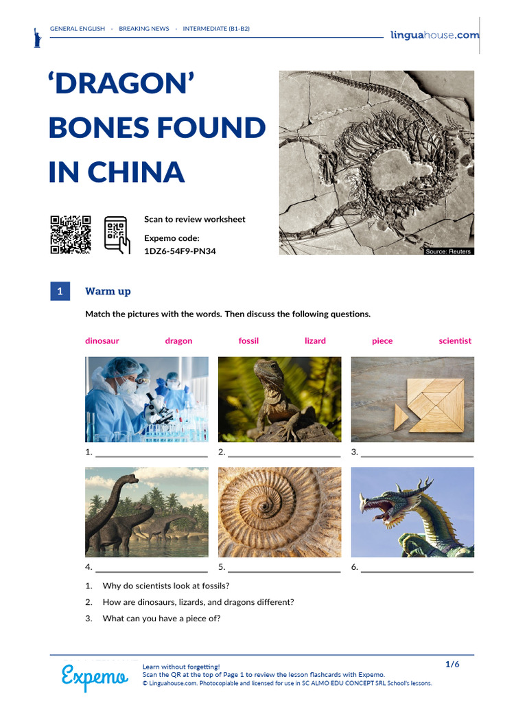 Dinocephalosaurus Fossil Discovery | PDF | Dinosaurs | Vocabulary