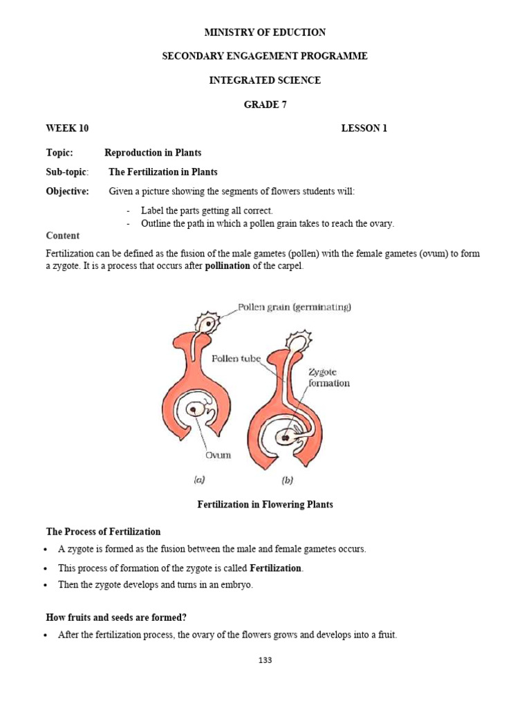 Fertilization in Plants | PDF