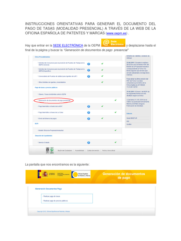 Instrucciones - cómo generar DOCUMENTO DE PAGO DE TASAS (Presencial) | PDF