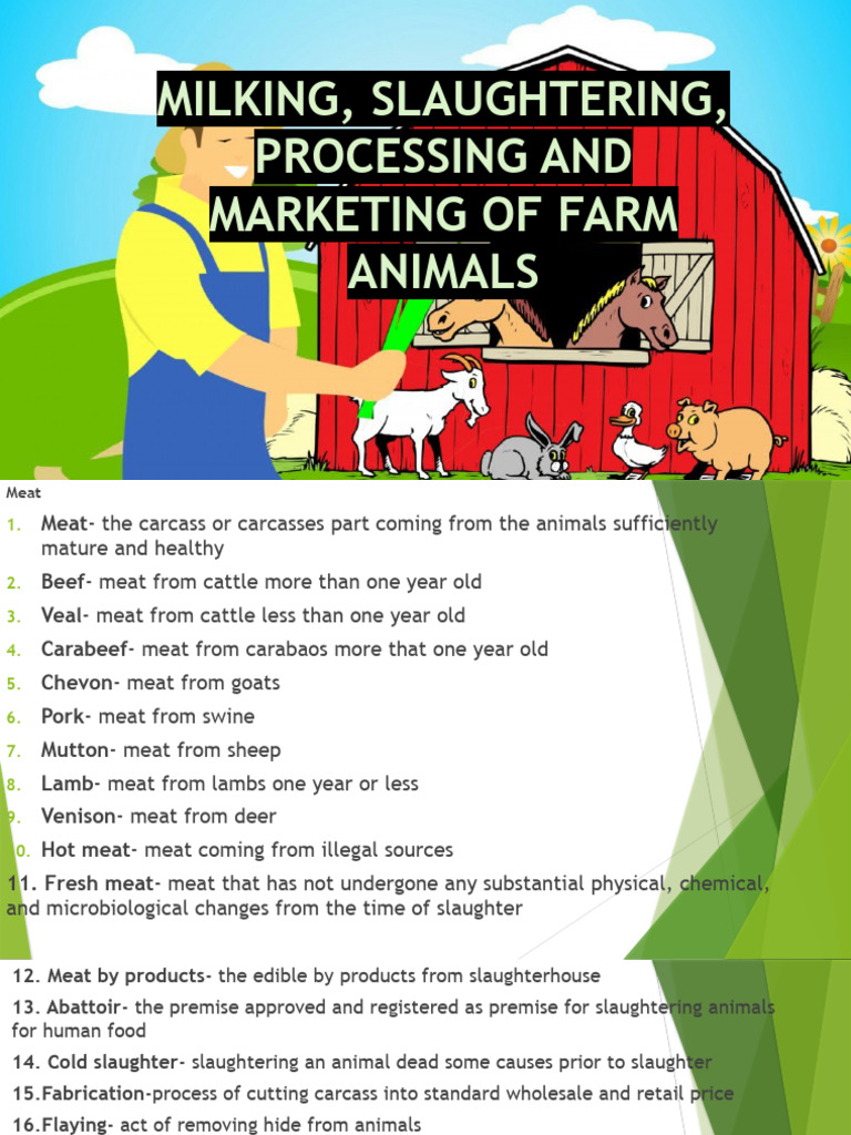 Milking Slaughtering Processing and Marketing of | PDF | Milk ...