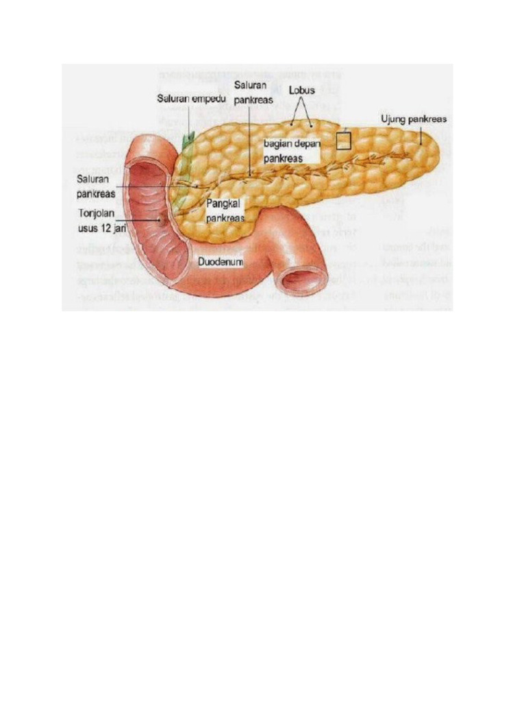 Gambar 1 | PDF