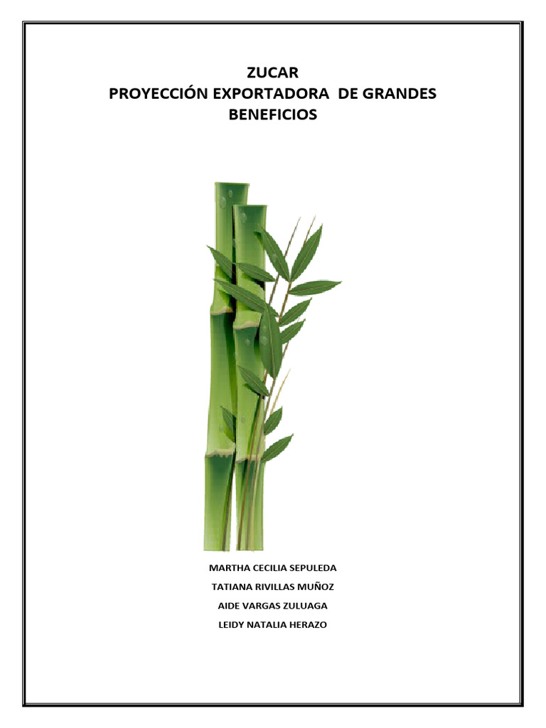 Sector Azucarero Colombiano 2009 | PDF | Caña de azúcar | Azúcar