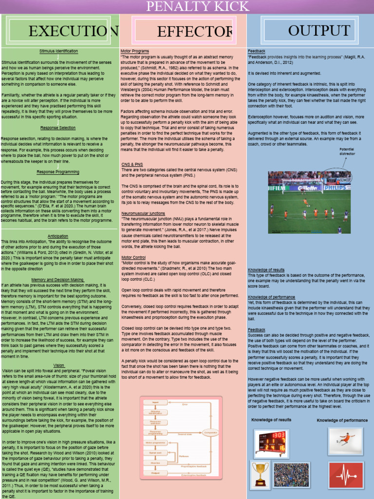Blank Poster Template | PDF | Nervous System | Central Nervous System