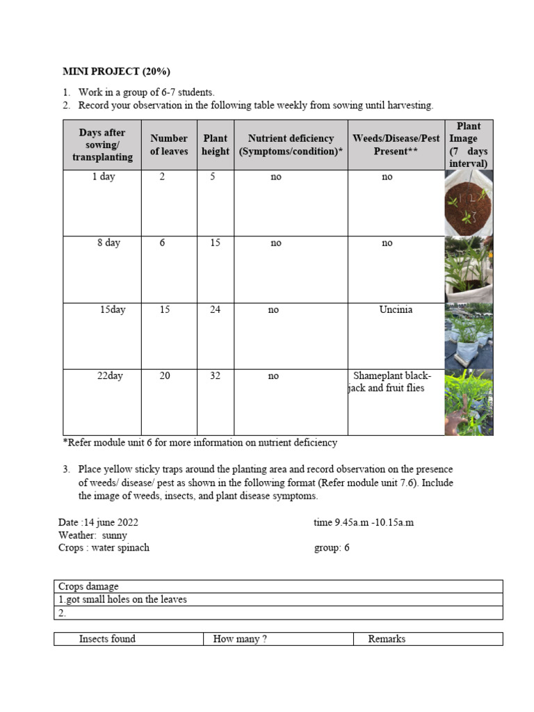 Fertigation Project Group 6 | PDF | Agriculture | Plants
