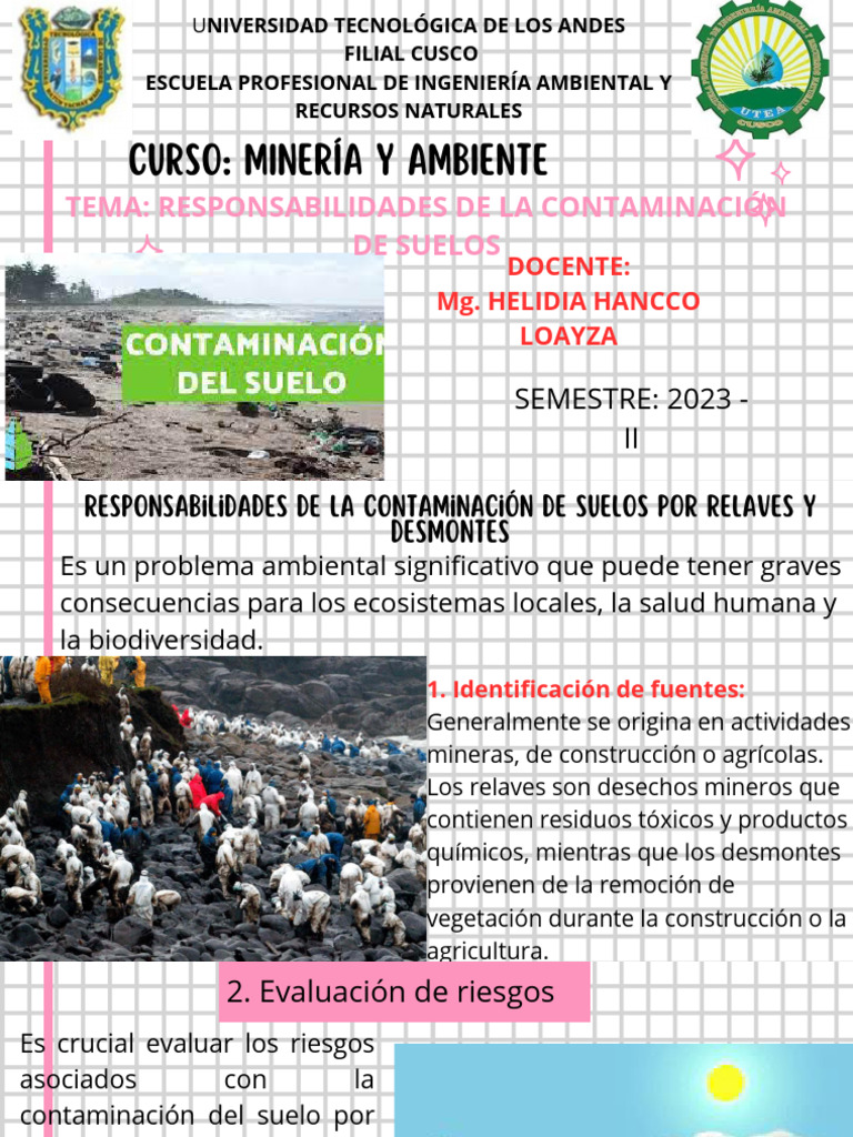 Responsabilidad de La Contaminación | PDF | Contaminación | Residuos