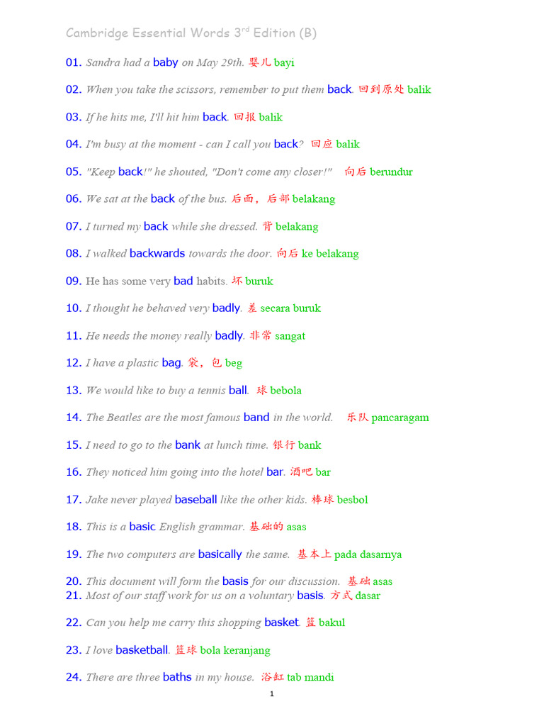 Essential English Vocabulary Guide | PDF
