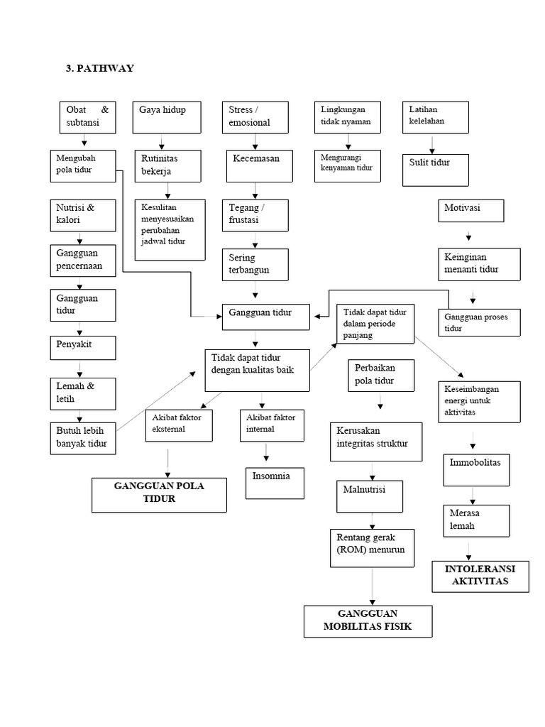 Pathway Pola Istirahat Tidur | PDF