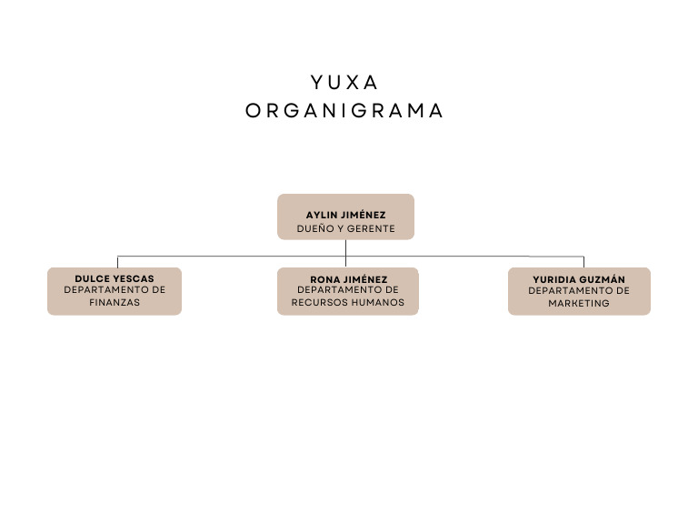Organigrama | PDF