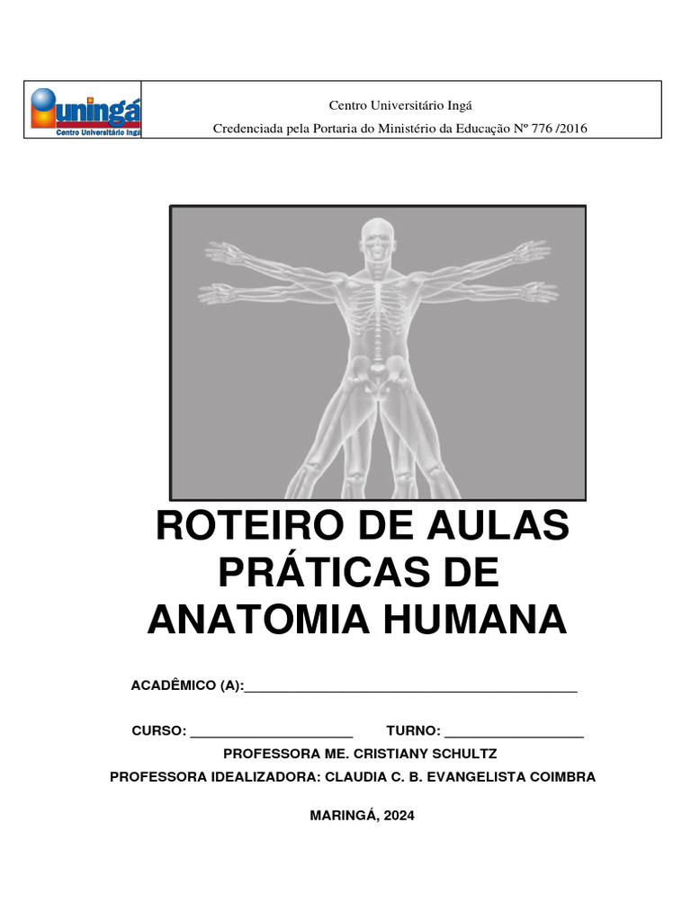 Roteiro de Pratica- Anatomia Humana 2024 | PDF | Rim | Vértebra