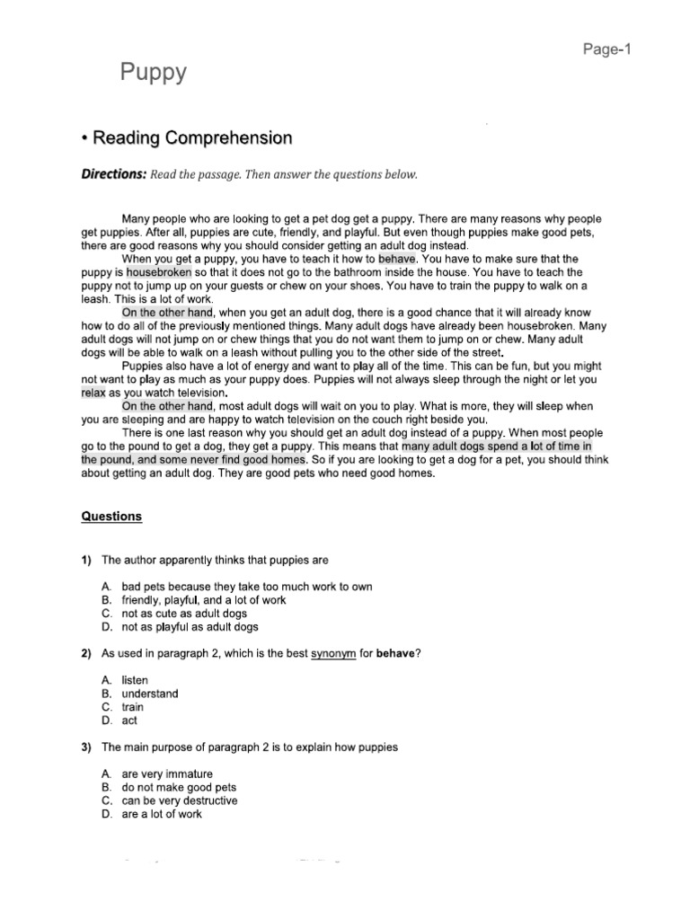 Puppy - Comprehension | PDF