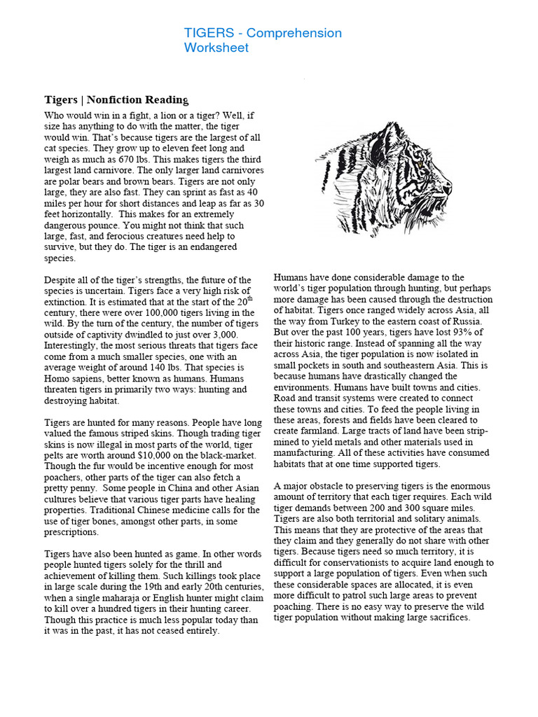 TIGERS - Comprehension... | PDF | Tiger | Poaching