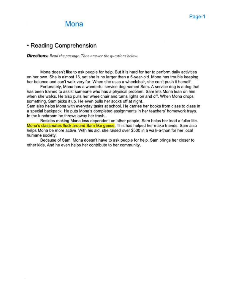 Mona Comprehension | PDF