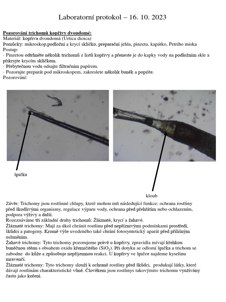 Laboratorní Protokol - 16.10.2023 | PDF
