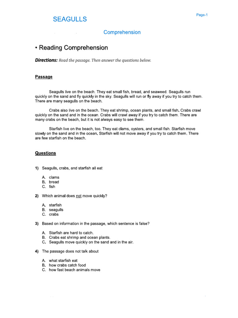 Seagulls - Comprehension | PDF