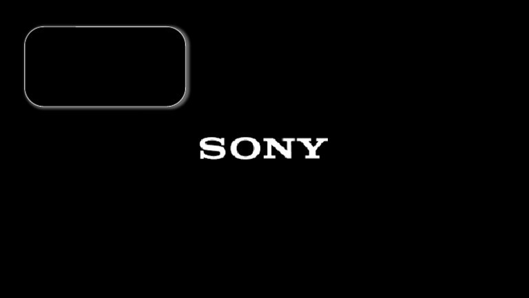 Sony | PDF