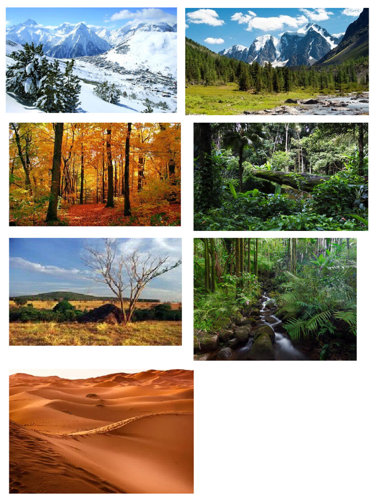 Biomas Terrestres | PDF