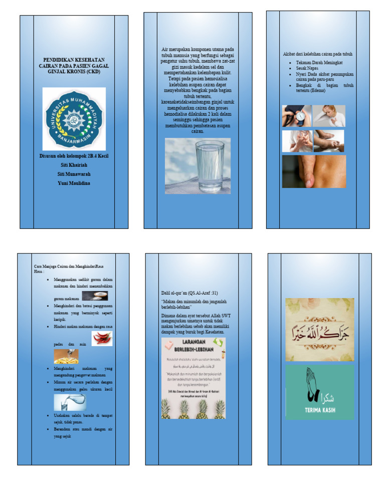 Leaflet PENKES Cairan | PDF