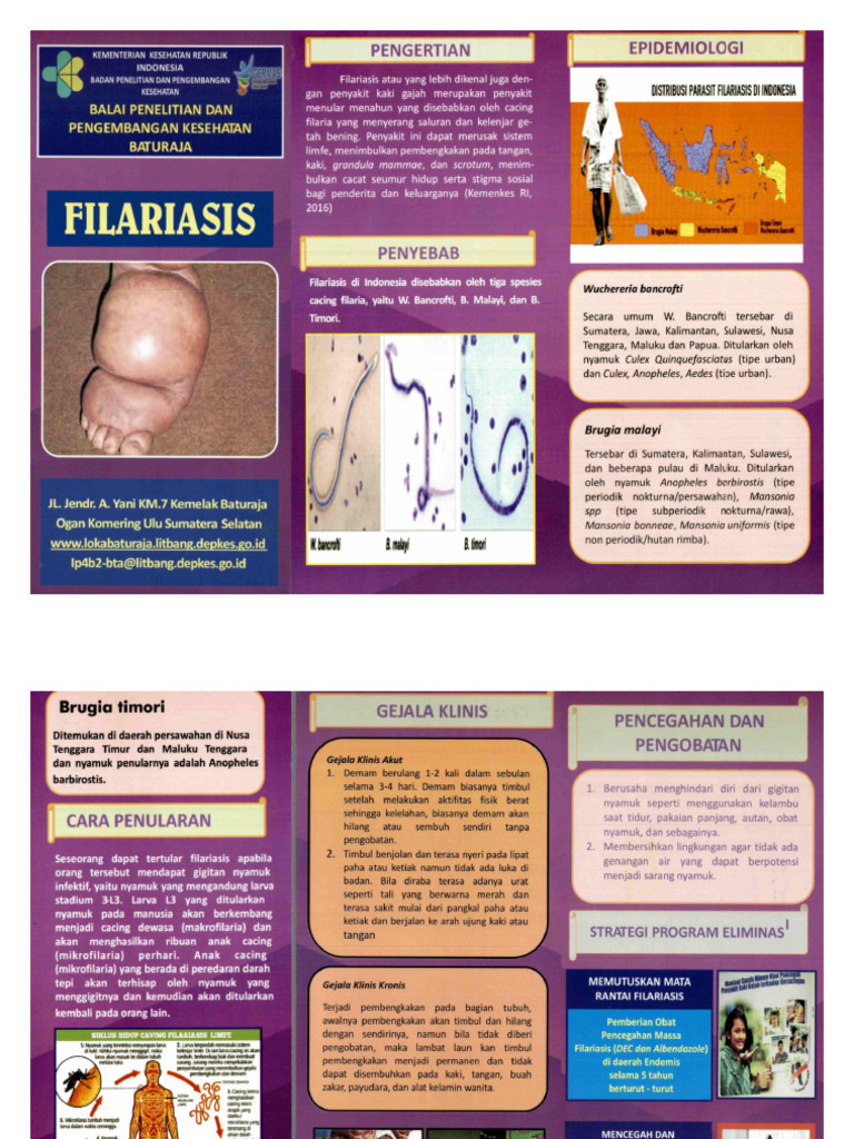Filariasis | PDF
